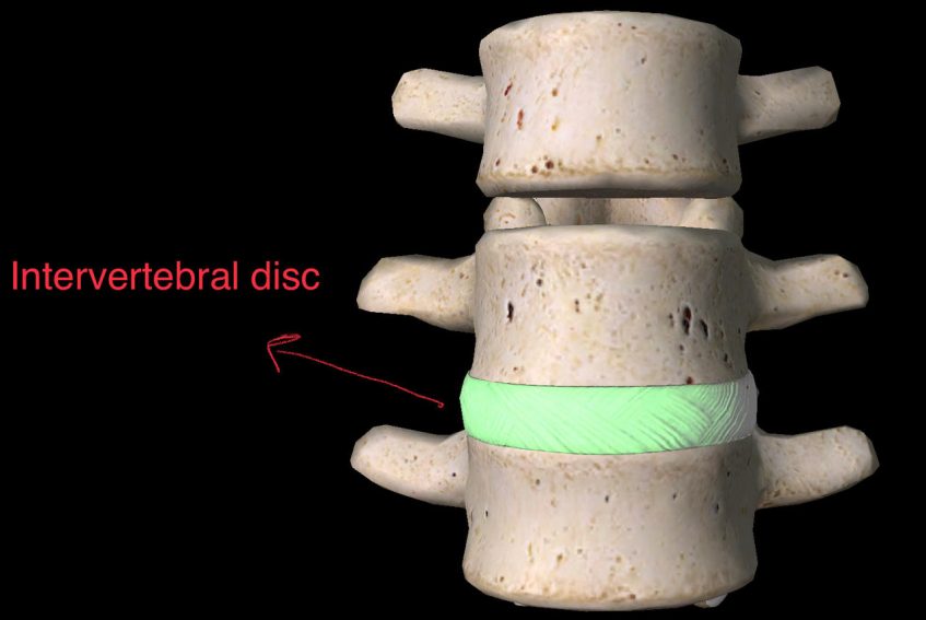 Back Pain: Anatomy & Injury Information | Body Works Physiotherapy